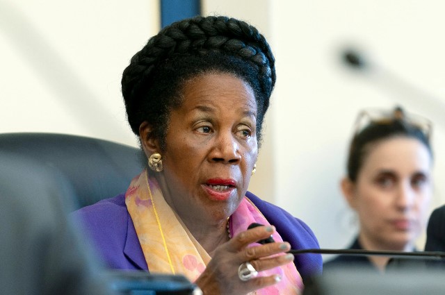 Sheila Jackson Lee Children: Meet Erica Shelwyn Lee, Jason Cornelius ...