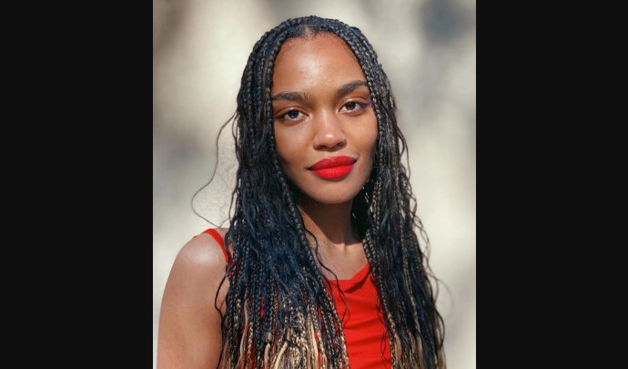 What Happened to China Anne Mcclain? Who is China Anne Mcclain? Age ...