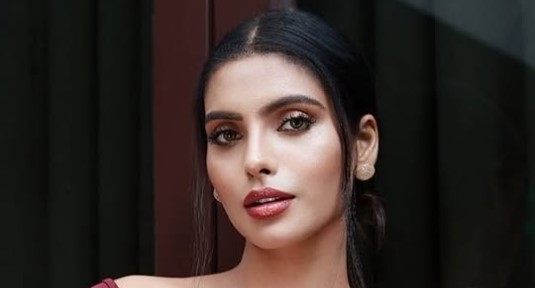 Ayeesha S. Aiman Age, Relationship, Family, Controversy, Biography